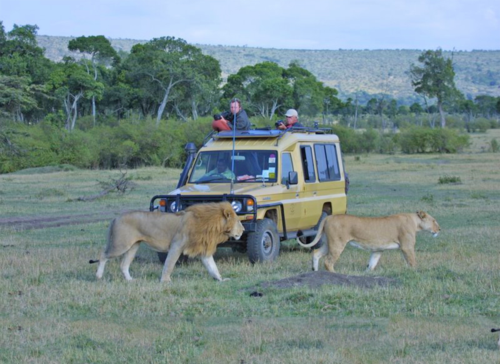 Our Vehicles | Phoenix Safaris