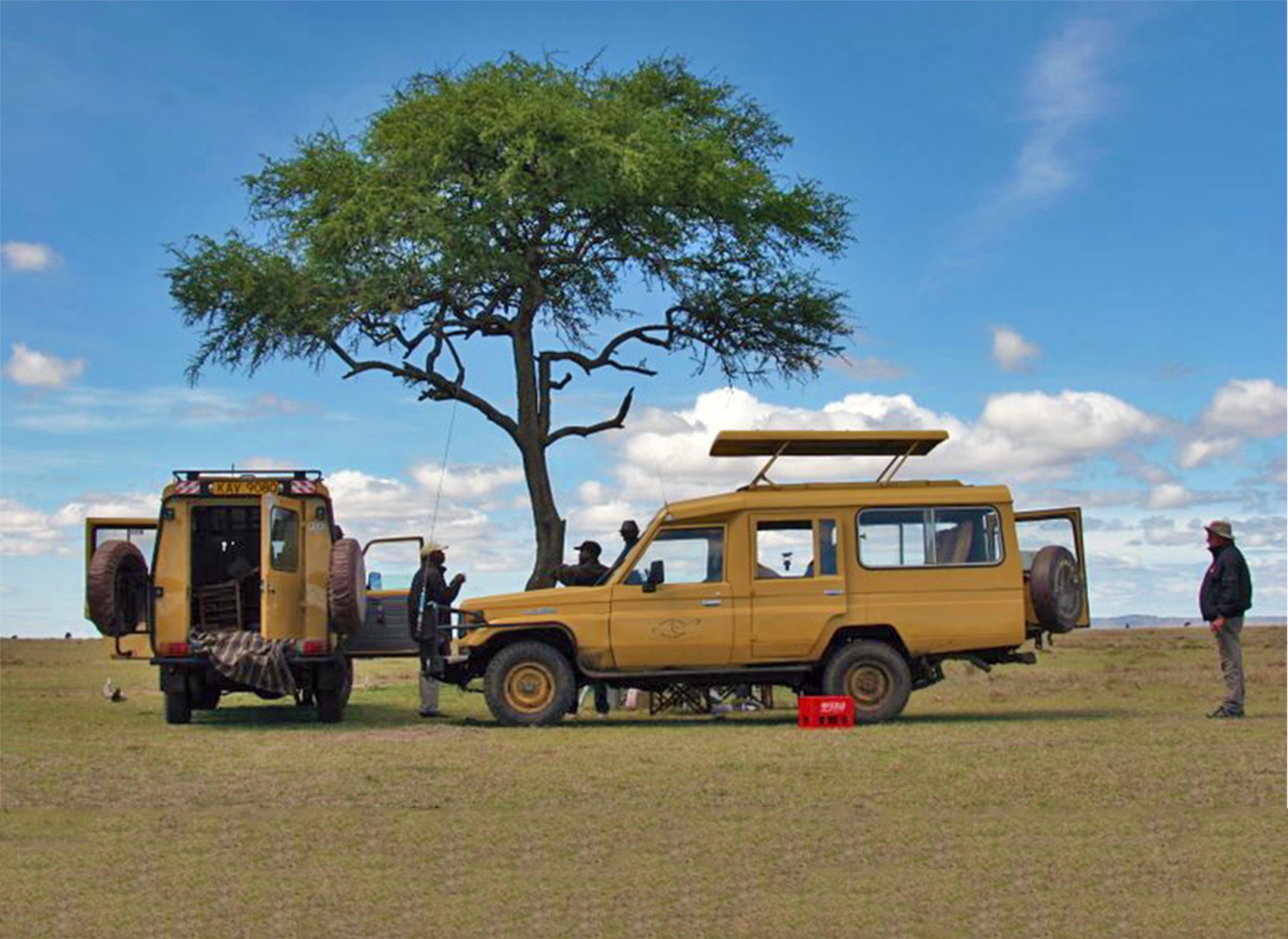 Our Vehicles | Phoenix Safaris